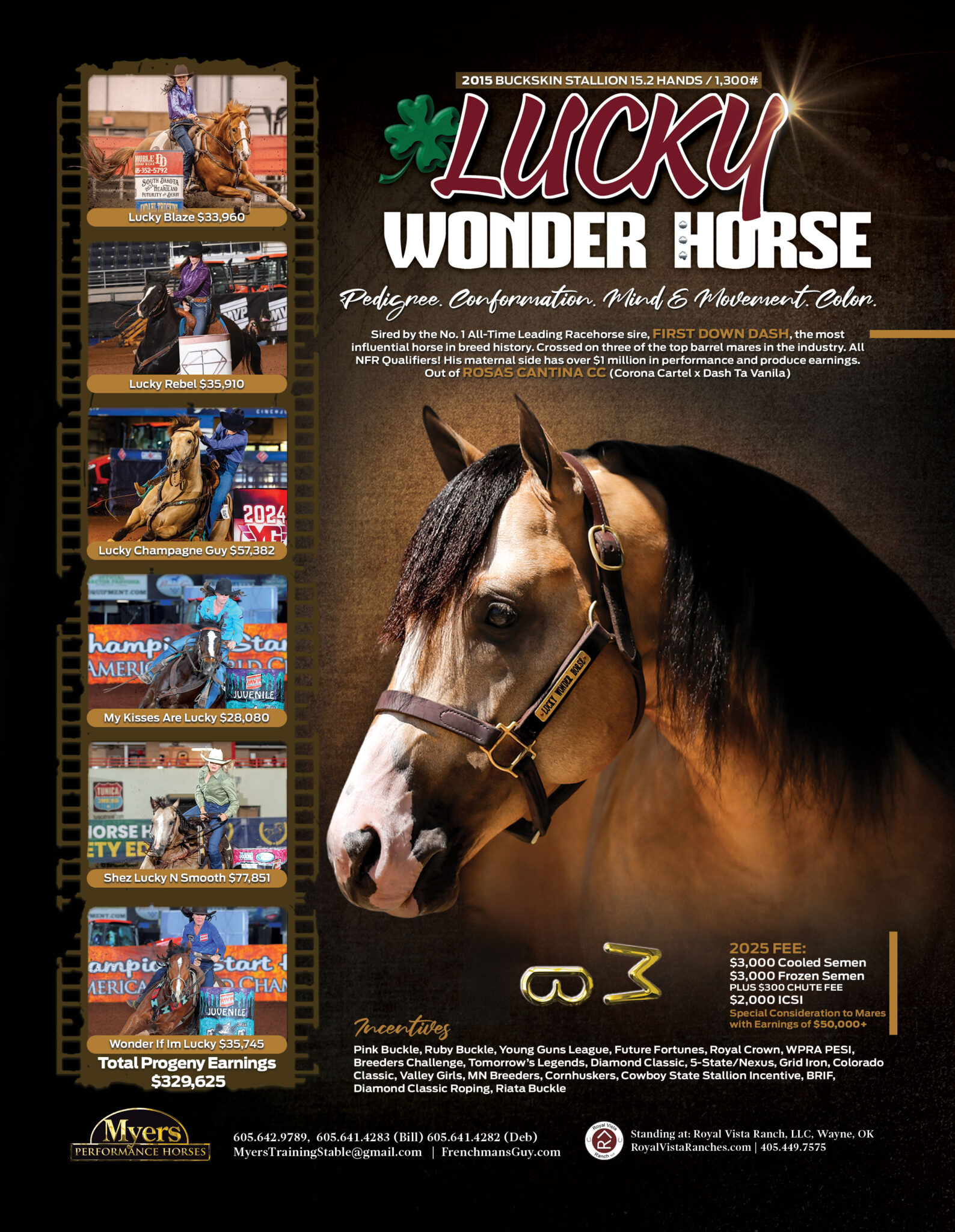 Myers Performance Horses