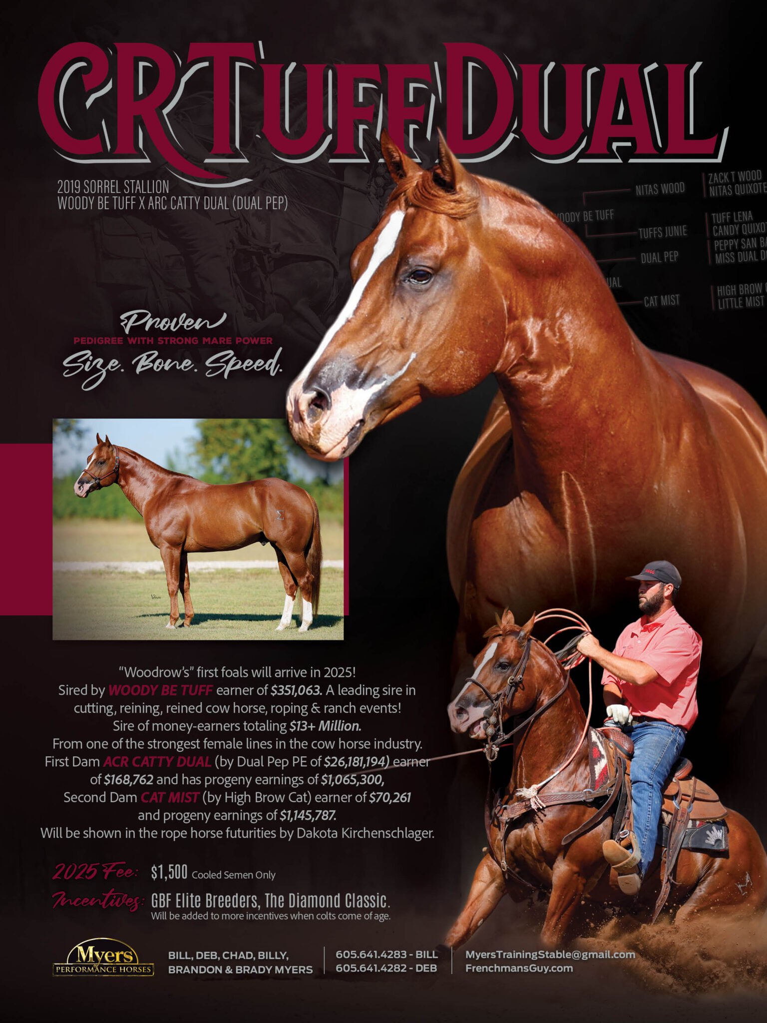 Myers Performance Horses