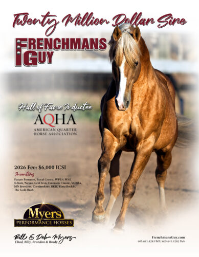 Myers Performance Horses