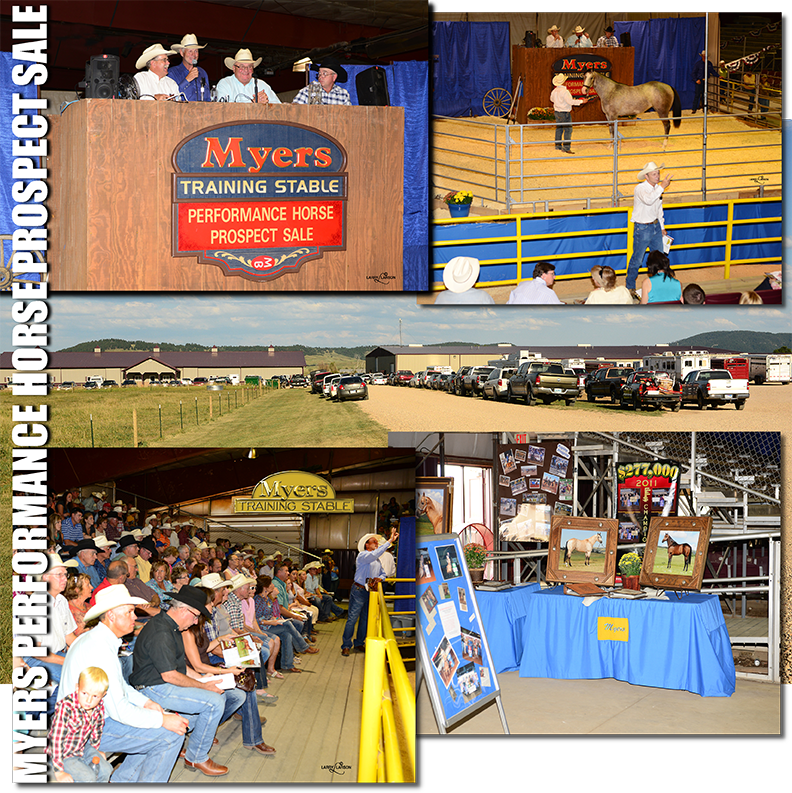 Myers Performance Horses