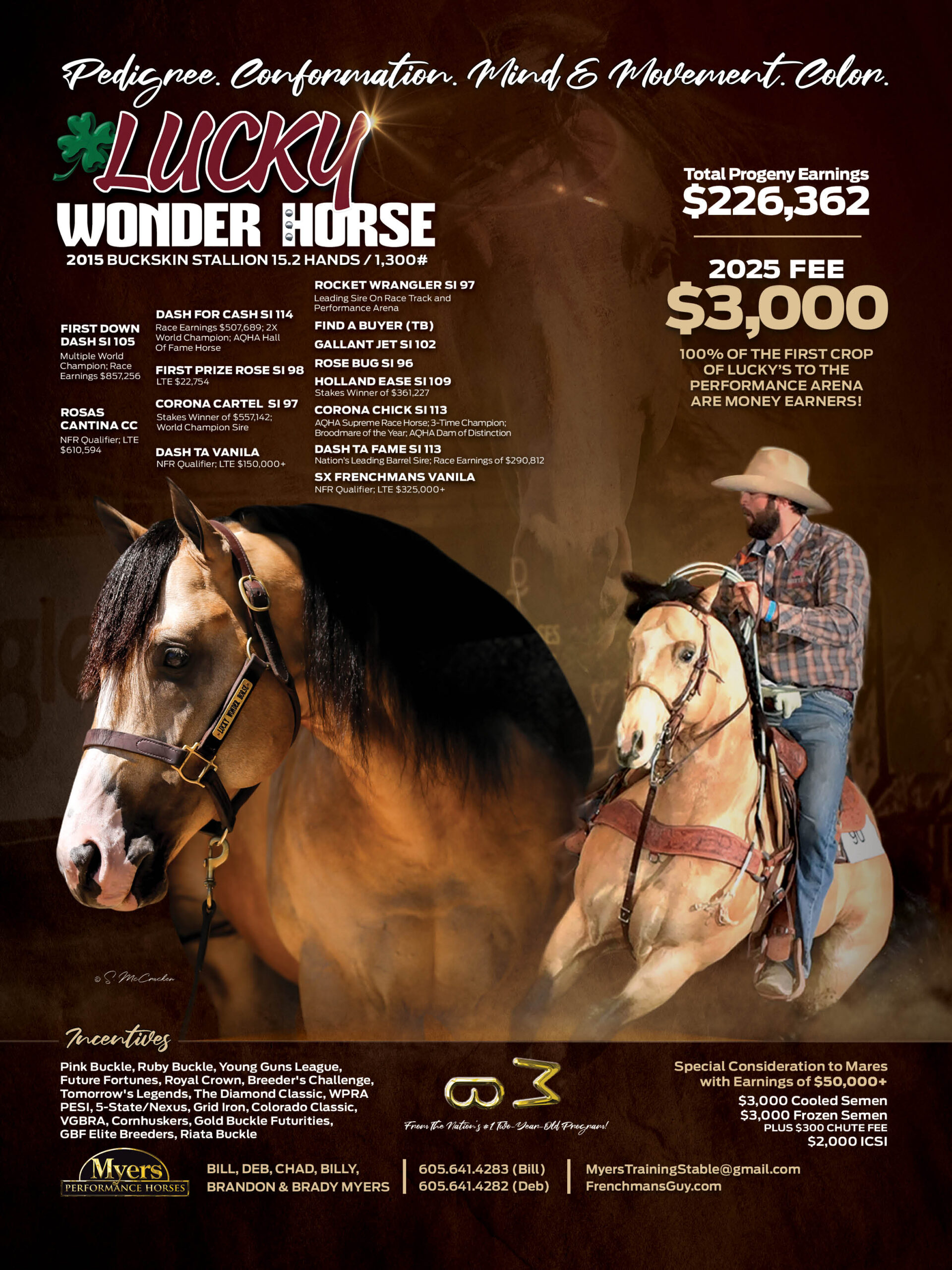 Myers Performance Horses