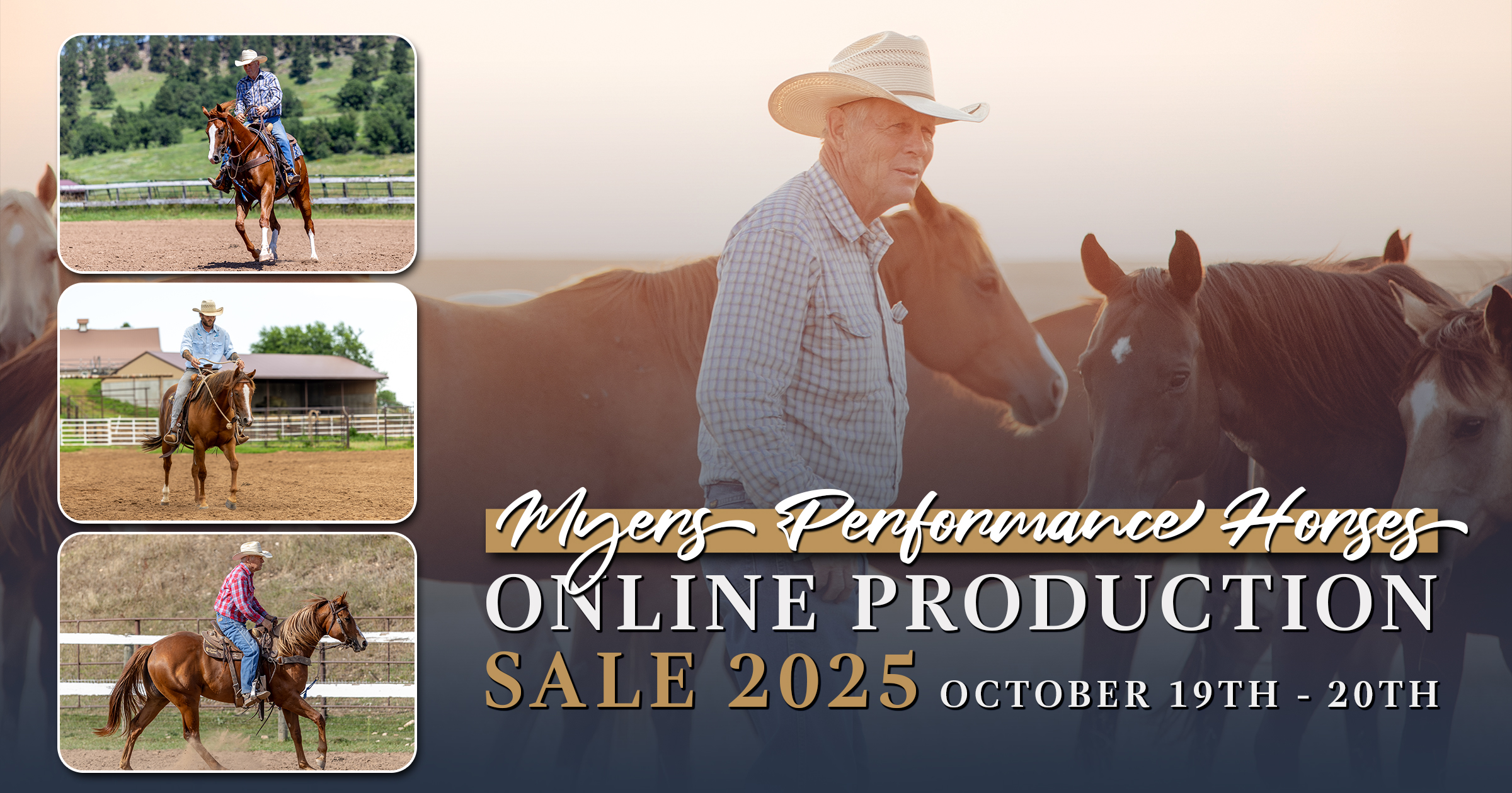 Myers Performance Horses